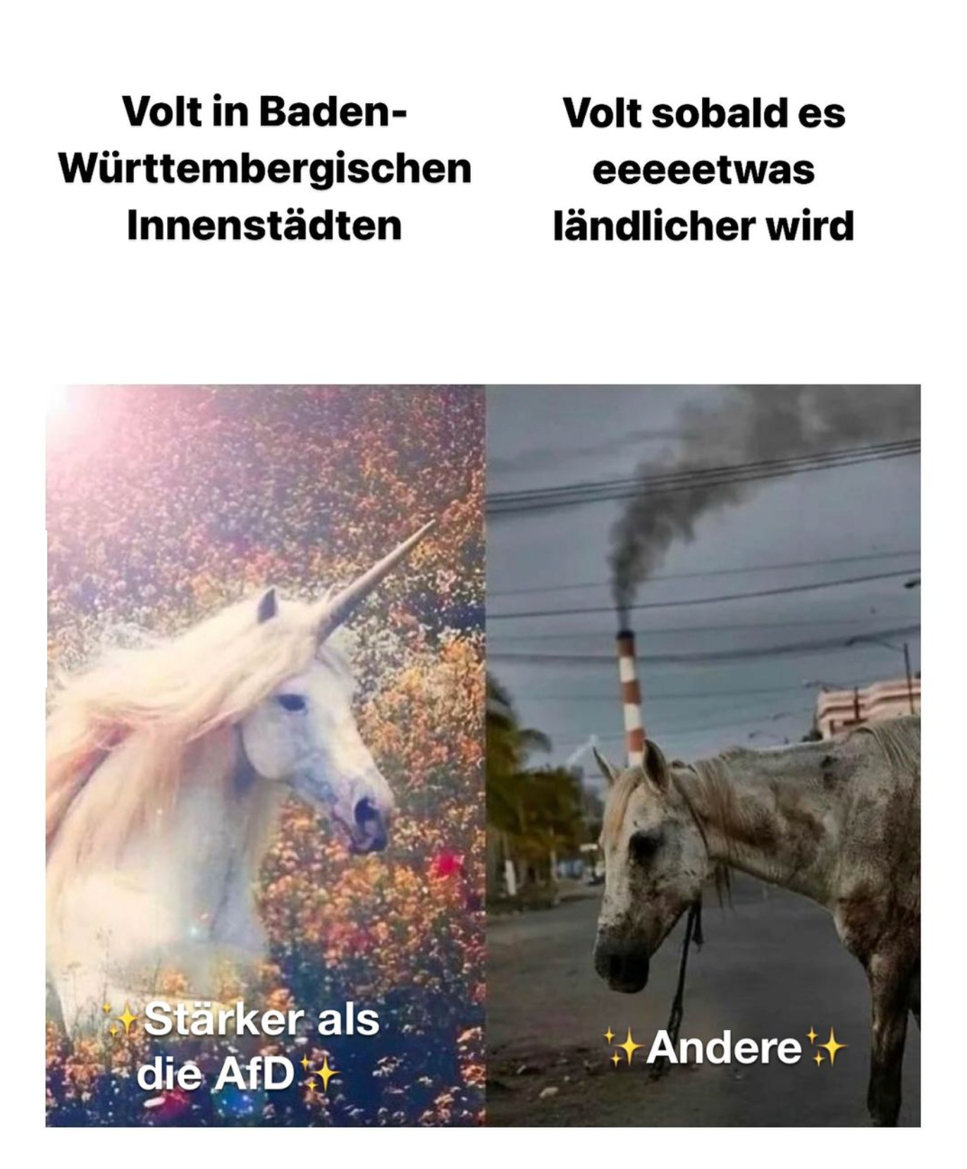 Warum war Volt so erfolgreich bei der EU-Wahl?